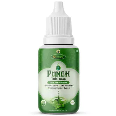 Divya Shree Punch Tulsi Drop – AYUSH Upchar