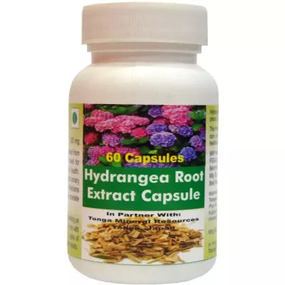 Tonga Herbs Hydrangea Root Extract Capsules – AYUSH Upchar
